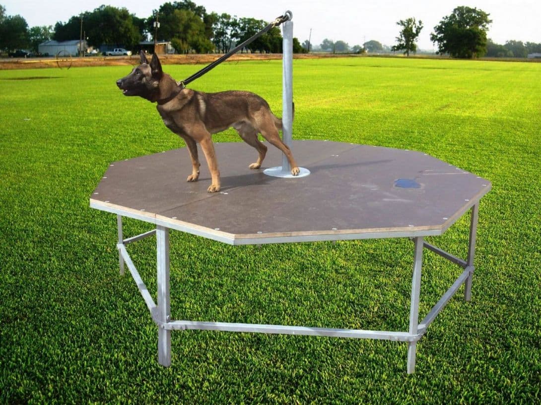 Agitation/ Fight Table – Agitation Equipment | VonWolf K9 – Von Wolf K9 LTD