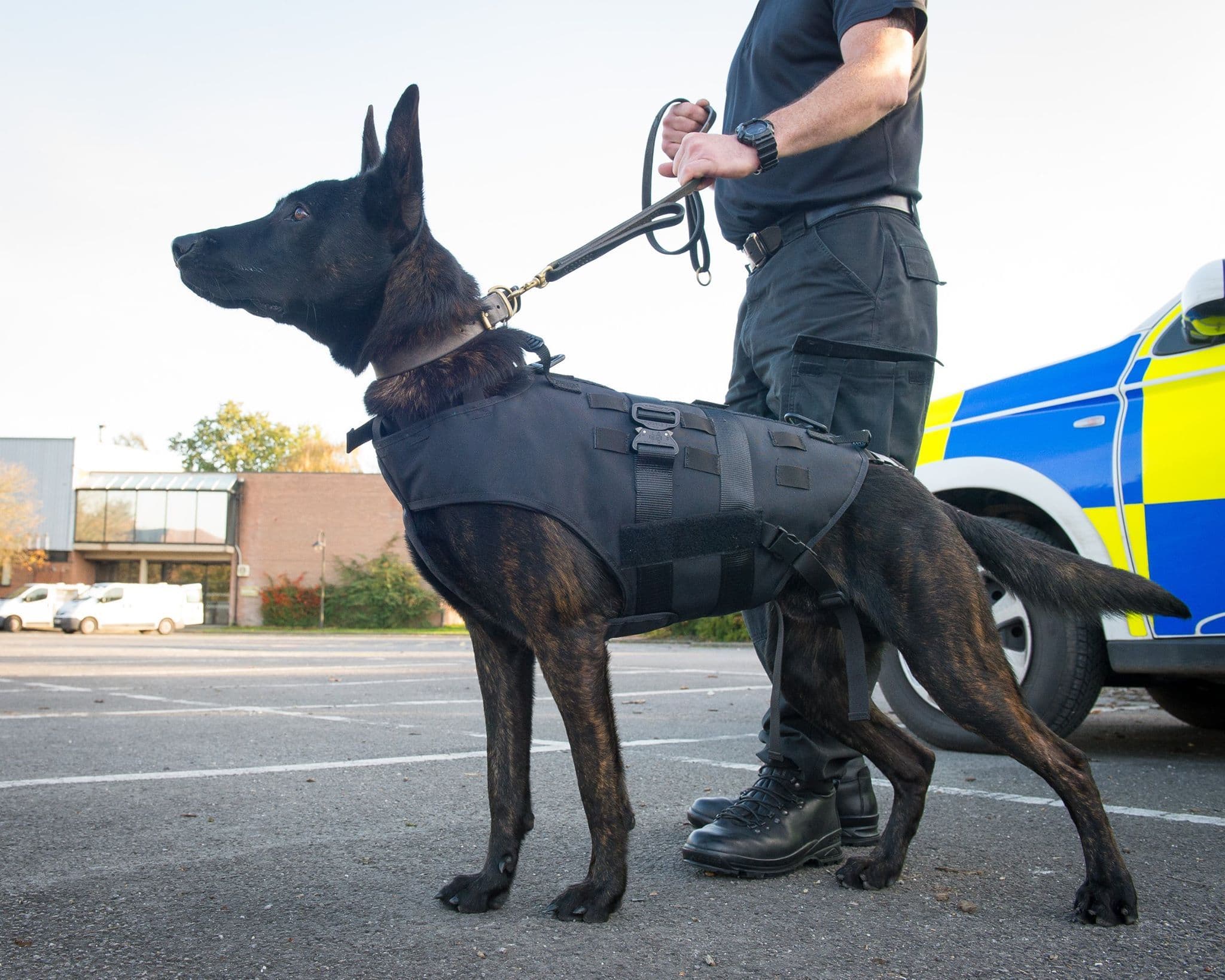 Vonwolf K9 Vest Harness – Police/Law Enforcement | VonWolf K9 – Von ...